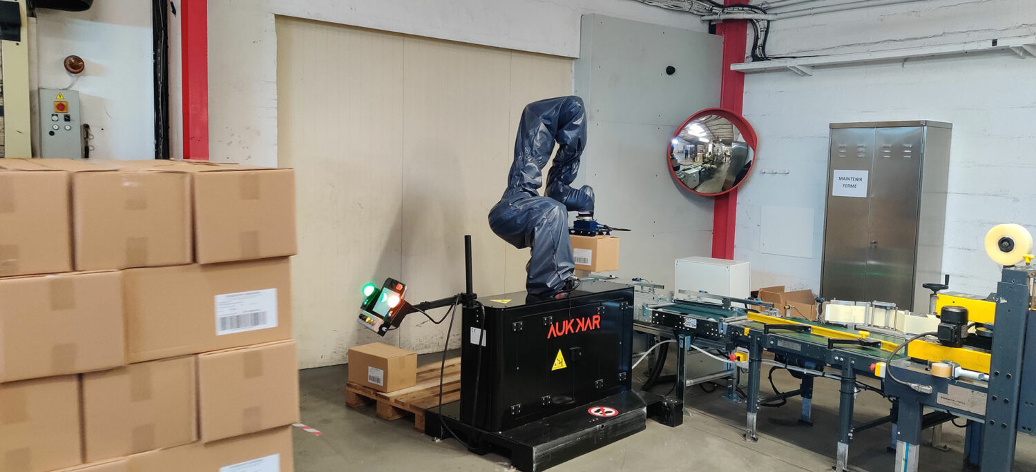 L'art de la palettisation : comment HumaRobotics redéfinit les ...